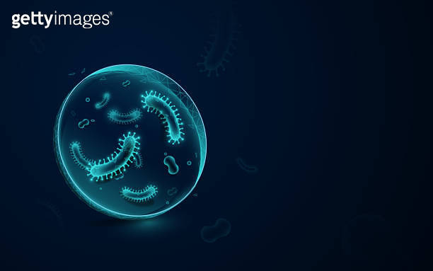 Micro bacteria are grown on an agar plate. Abstract biological ...