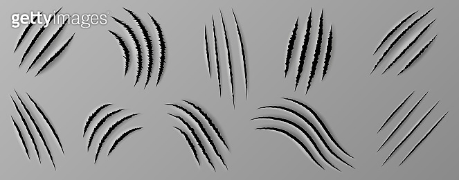 Set of realistic scratch claws of wild animal. Beast claws scrape ...