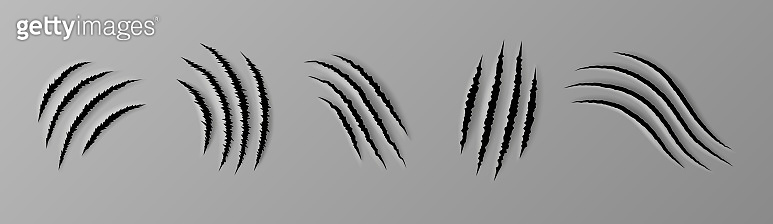 Realistic claw scratch. Paper cut and track of animal claw, rough holes ...