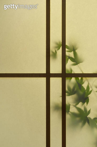 Japanese Shoji Door with Green Maple Leaves 이미지 (1335359954) - 게티이미지뱅크