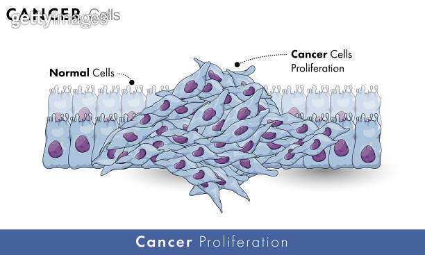 Cancer cell proliferation in healthy tissue or healthy cells with ...