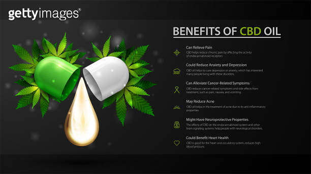 Black template of Medical uses for cbd oil, benefits of use CBD oil ...