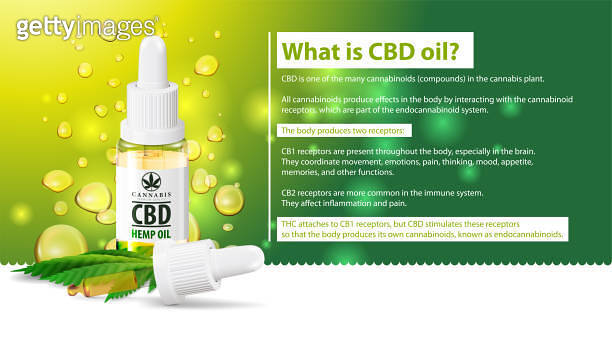 What is CBD oil, medical uses for cbd oil of cannabis plant, green ...