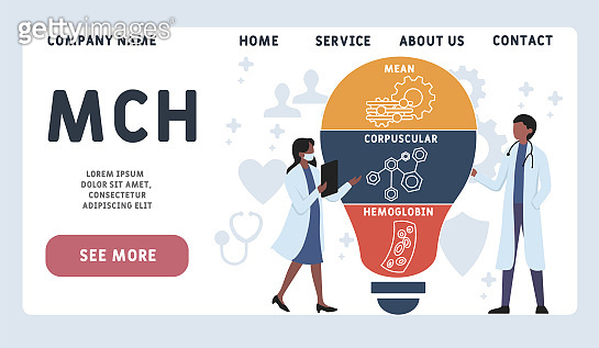Vector website design template . MCH - Mean Corpuscular Hemoglobin ...