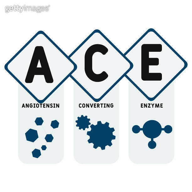 ACE - Angiotensin Converting Enzyme acronym 이미지 (1350553139) - 게티이미지뱅크