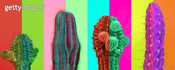 Contemporary art collage. Bright vibrant colors. Horizontal composition ...