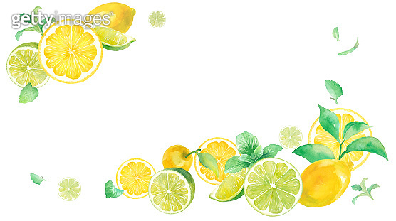 A refreshing watercolor illustration of citrus and mint. Frame design ...