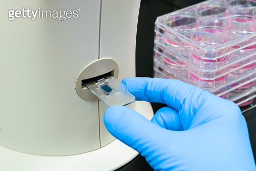 Scientist inserts slide into automated cell counter for calculating ...