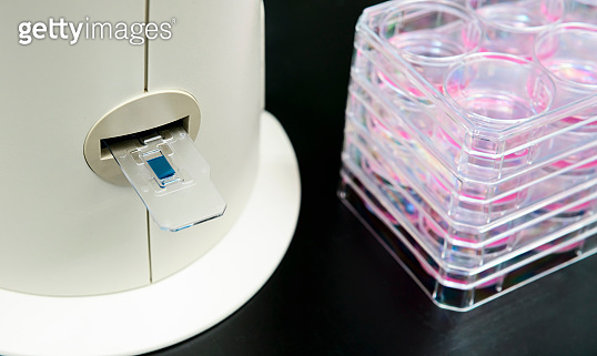 Inserting slide containing trypan blue-stained human cells into ...