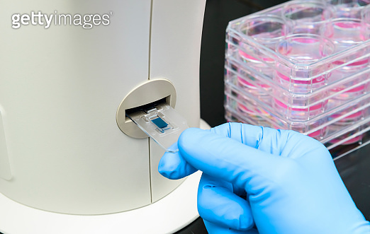Scientist inserts slide into automated cell counter for calculating ...