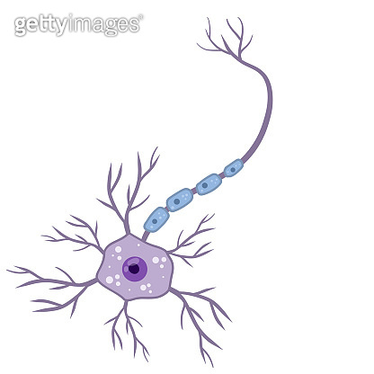 Blue neuron cell. Brain activity and dendrites. Scientific cartoon ...