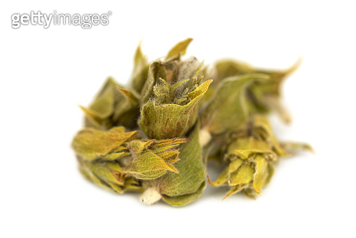 dry fresh Albania Mountain Tea - Caj Mali - Sideritis Raeseri 이미지 ...