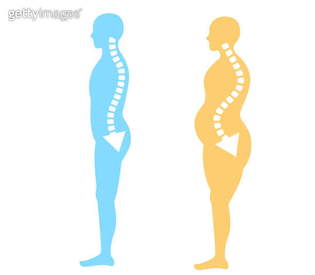 Pelvic forward and backward tilt: Correct posture and body illustration ...