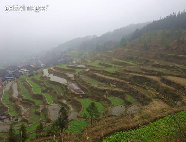 The Banaue Rice Terraces (Filipino: Hagdan-hagdang Palayan ng Banawe ...