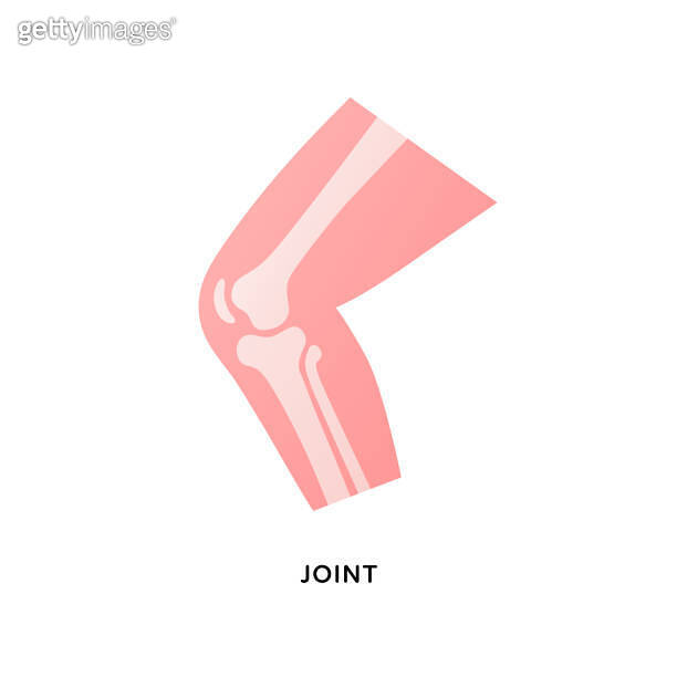 Human organ collection. Vector flat modern anatomical icon illustration ...