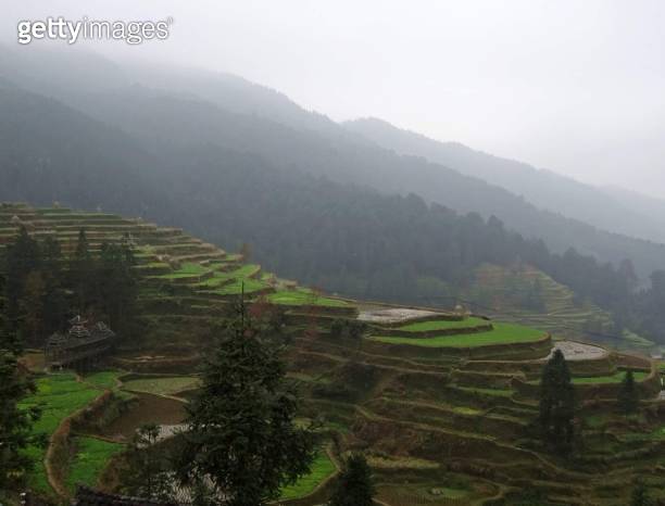 The Banaue Rice Terraces (Filipino: Hagdan-hagdang Palayan ng Banawe ...