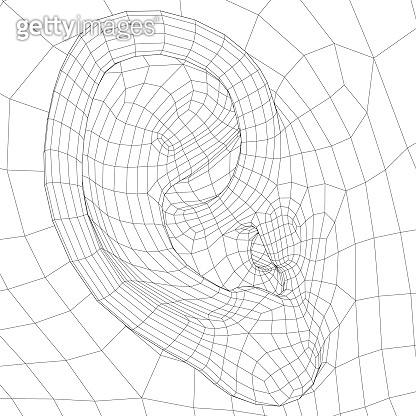 Wireframe model of the human ear. Side view. 3D. Vector illustration ...