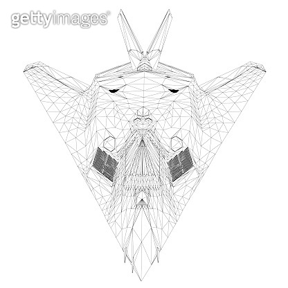 Wireframe of a modern fighter jet from black lines on a white background. Front view. 3D. Vector ...