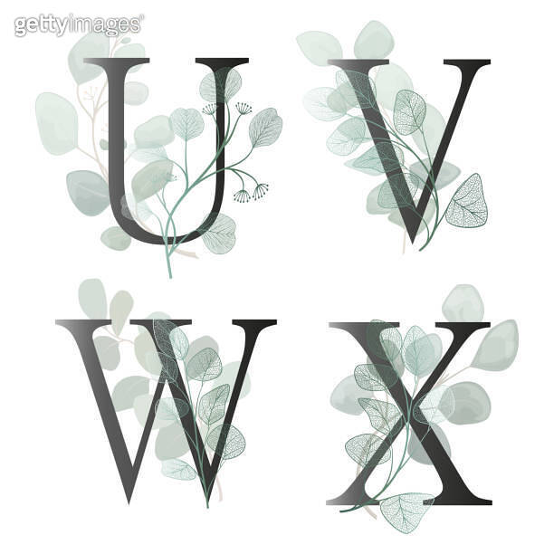 Floral Alphabet. Set letters with leaves eucalyptus. 이미지 (1319642054 ...