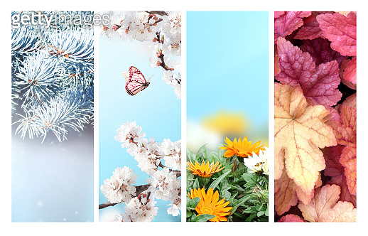 Four seasons of year. Set of vertical nature banners with winter ...