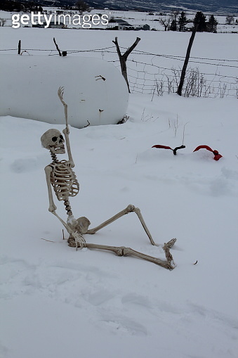 Skeleton in the snow 이미지 (1361414110) - 게티이미지뱅크