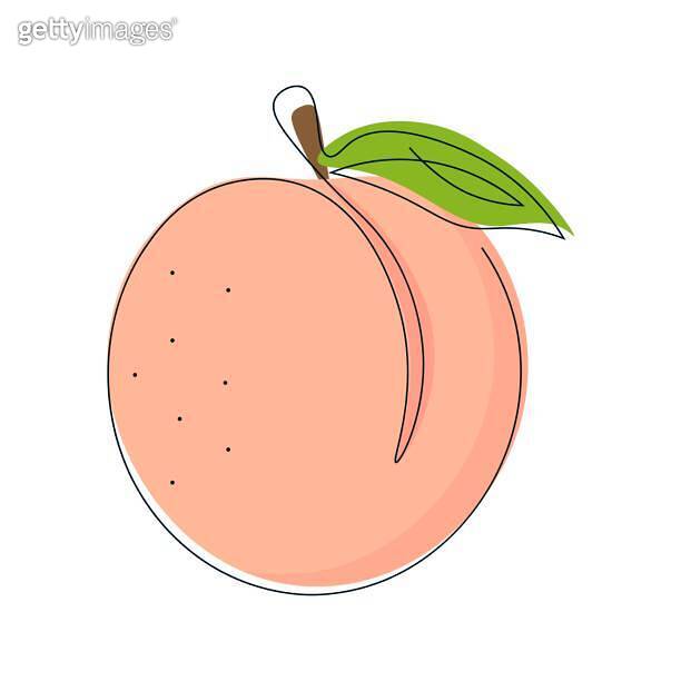 Continuous single line drawing of peach with color. One line drawing of ...