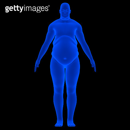 Human Fat Body Anatomy 이미지 (1340167413) - 게티이미지뱅크