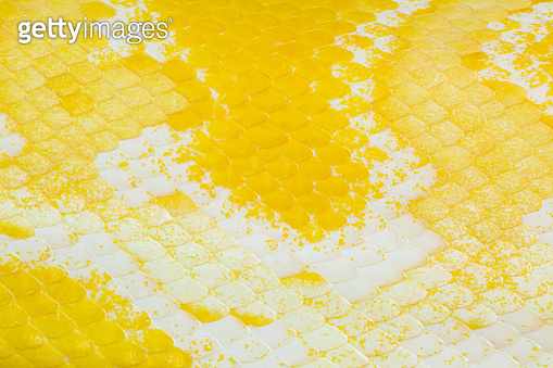 Golden python scale texture,close up view of golden python (Python ...