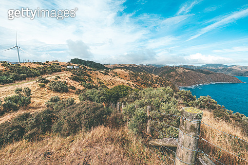 Landscape of Makara Beach in Wellington, New Zealand 이미지 (1307489246 ...