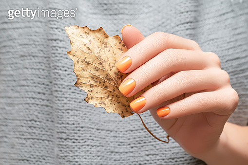 Female hand with orange autumn nail design. Female hand hold dry yellow ...