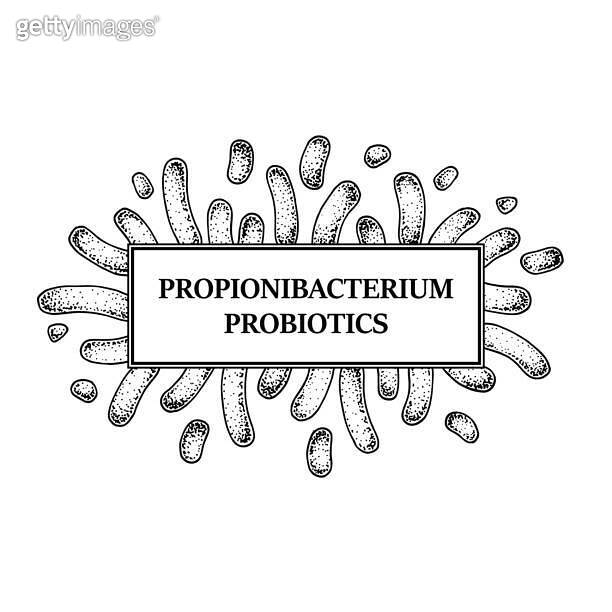 Hand drawn probiotic propionibacterium bacteria frame. Design for ...