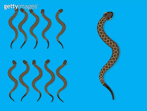 Animal Animation Sequence Eastern Diamondback Rattlesnake Cartoon ...