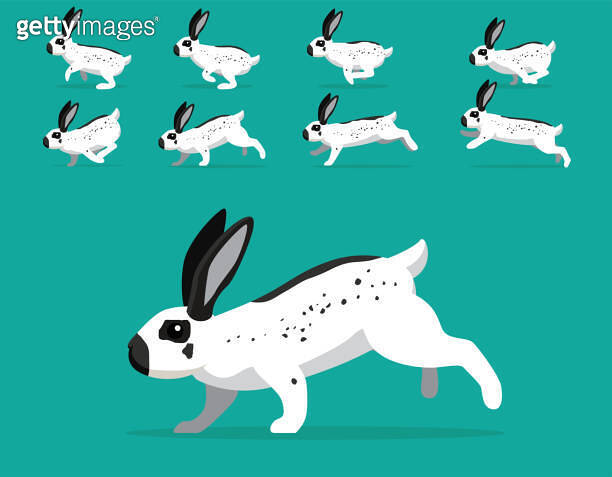 Animal Animation Sequence Rabbit English Spot Cartoon Vector ...