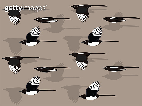 Animal Animation Sequence Magpie Flying Cartoon Vector Seamless ...