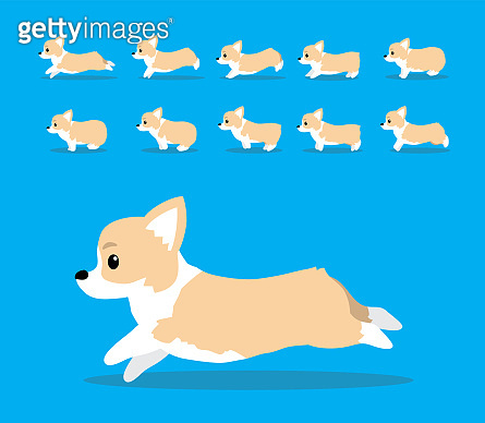 Animal Animation Sequence Dog Pembroke Welsh Corgi Cartoon Vector Cream ...
