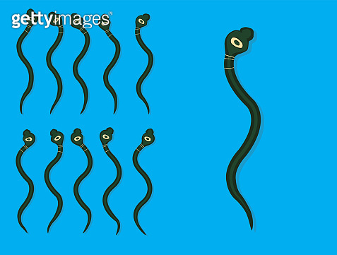 Animal Animation Sequence Spectacled Cobra Snake Cartoon Vector ...
