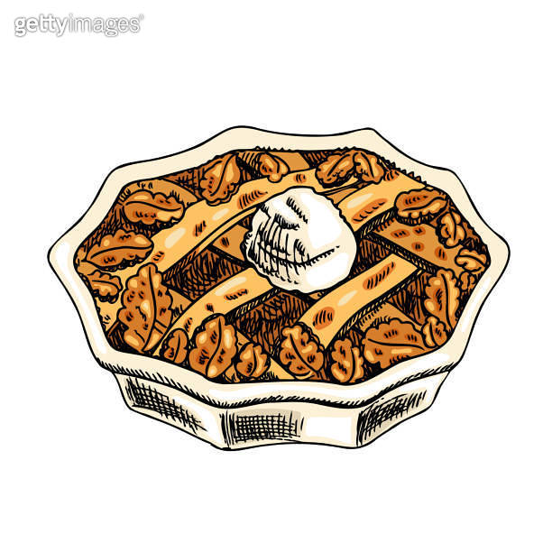 Apple pie hand-drawn vector illustration. Traditional Thanksgiving and ...
