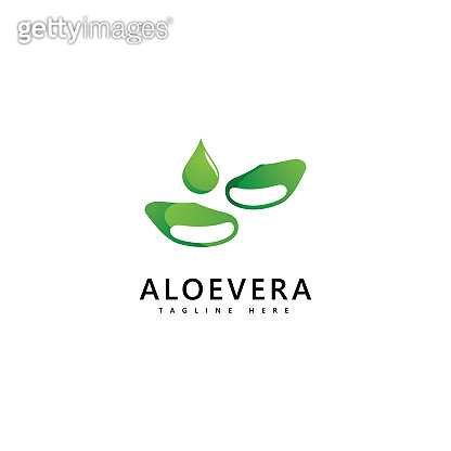 Aloe vera plant logo drop vector design. Aloe vera gel logo icon ...