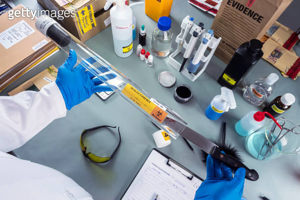 Forensic police remove bloody knife from evidence tube to test suspect ...