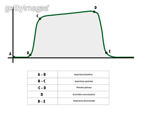 Capnography Waveform Phases. Description of each phase from capnography ...
