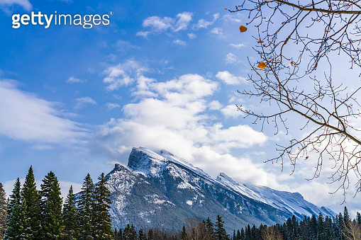 Close-up snow-covered Mount Rundle with snowy forest. Banff National ...