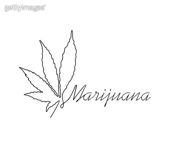 Continuous line drawing of marijuana. Cannabis line art design ...