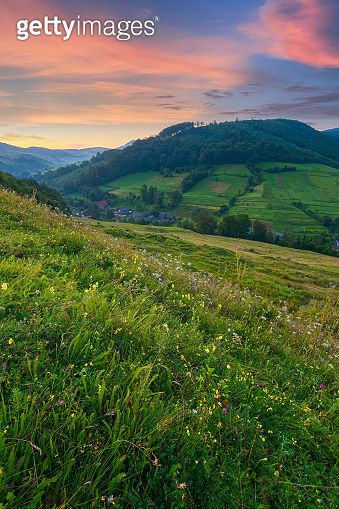 countryside valley scenery at sunrise 이미지 (1320123221) - 게티이미지뱅크