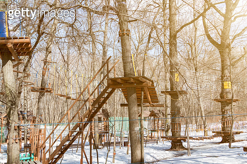 Wooden platform on tree in rope climb park in spring forest. wooden ...