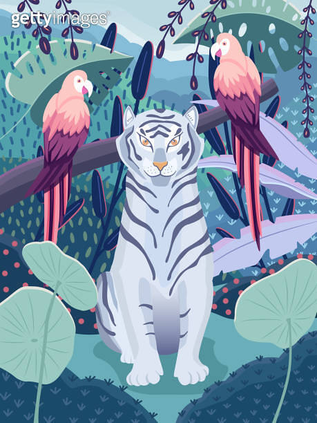 Blue tiger with colorful parrots in a jungle. Beautiful wildlife scene ...