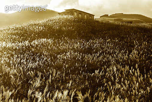 Idyllic landscape of rural area in Hong Kong (1350752667) - 게티이미지뱅크