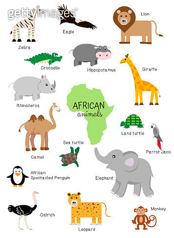 African animals set. Zoology for children, poster. Elephant, camel ...