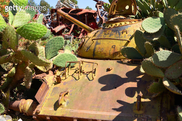 Cactus and discarded T-55 Soviet tank at the Asmara tank graveyard ...
