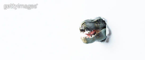 T Rex Dinosaur breaking through the white paper background 이미지 ...