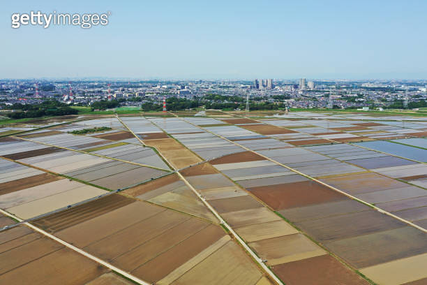 Paddy field area in Abiko City, Chiba Prefecture 이미지 (1360788112) - 게티이미지뱅크